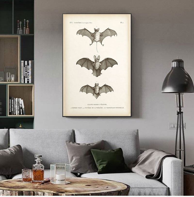 Vintage Vampire Bat Wall Art Fine Art Canvas Print Halloween Poster ...